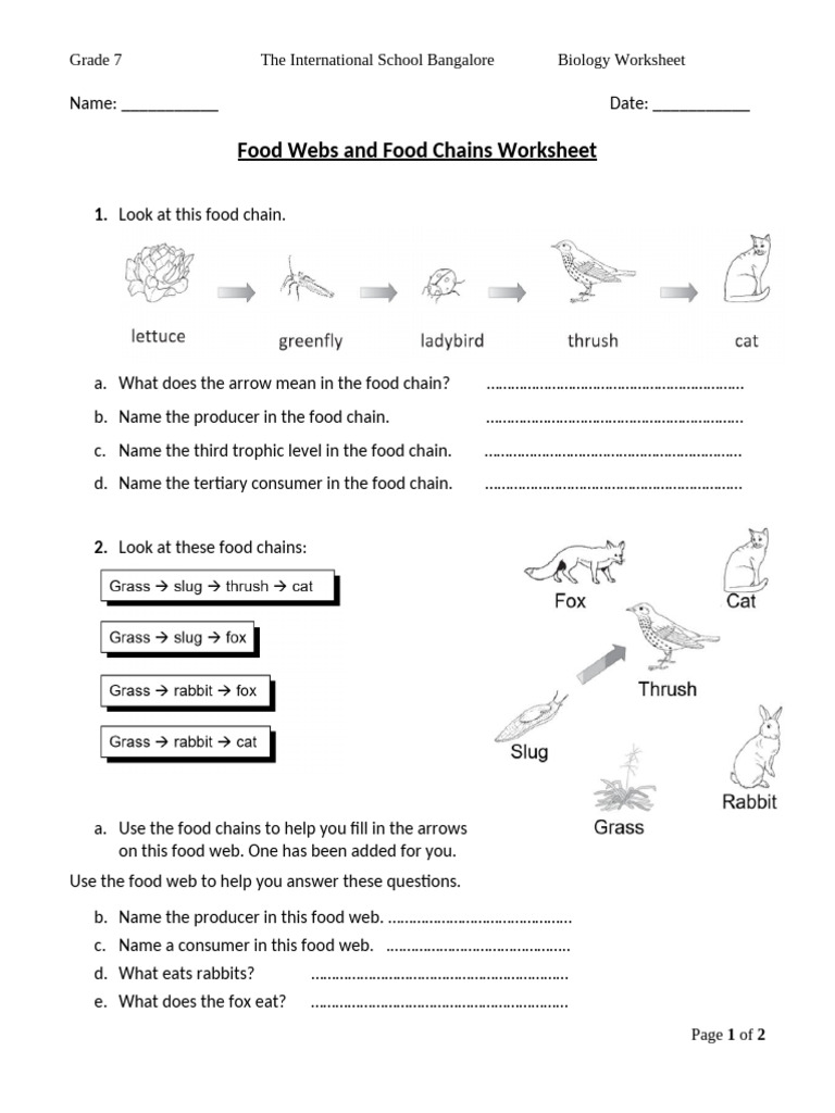 Ecology WS 1 - Food Webs and Food Chains | PDF