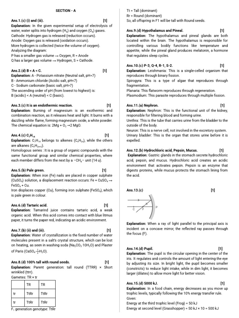 Outside Delhi- 2025 Solution - Google Docs | PDF | Redox | Industrial Gases