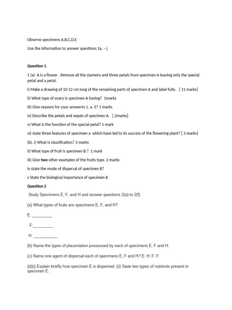 Observe Specimens AB C Practice Biology March 2025 | PDF | Petal | Fruit