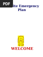 Patroling or Roving Inspection | PDF | Security Guard | Emergency