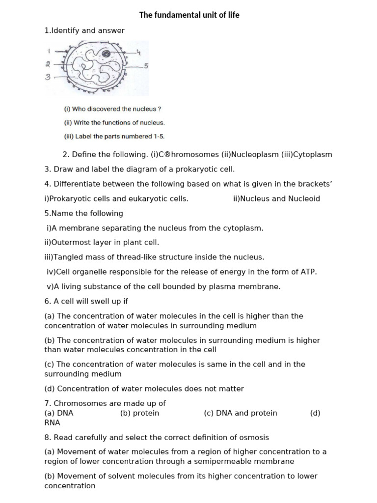 The fundamental unit of life Trerm 1 worksheet | PDF | Cell (Biology ...