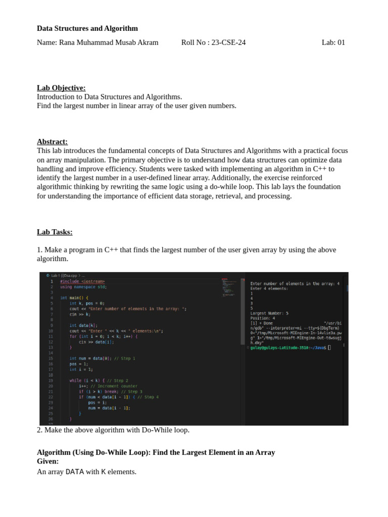 DSA Lab 1 Task | PDF