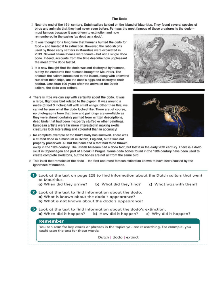 Dodo Test | PDF