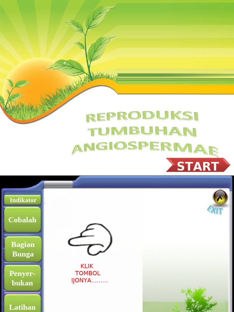 Reproduksi Tumb. Angiospermae | PDF