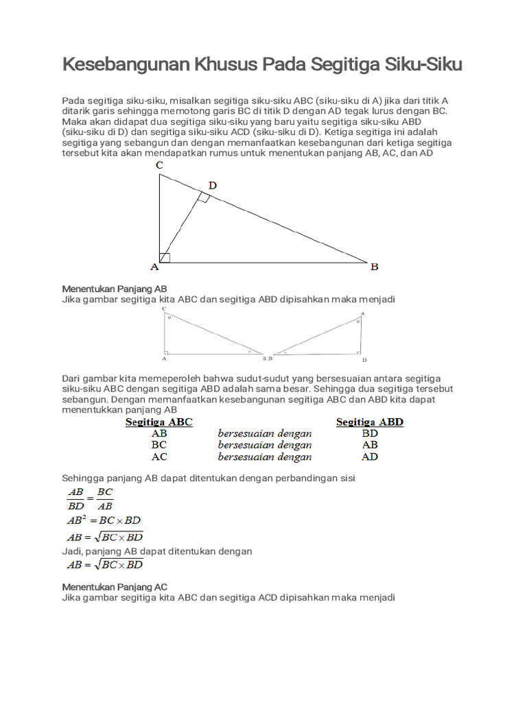 Kesebangunan Khusus Pada Segitiga Siku-Siku | PDF