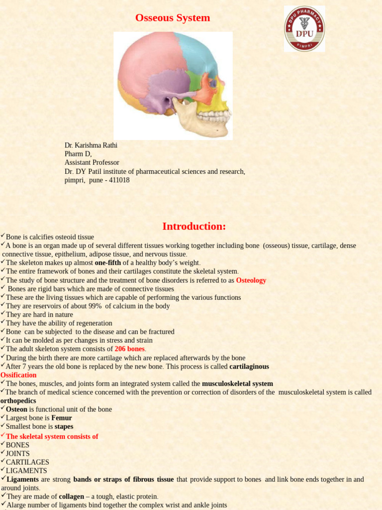 Unit 4 Axial Skeletal System | PDF | Vertebra | Vertebral Column