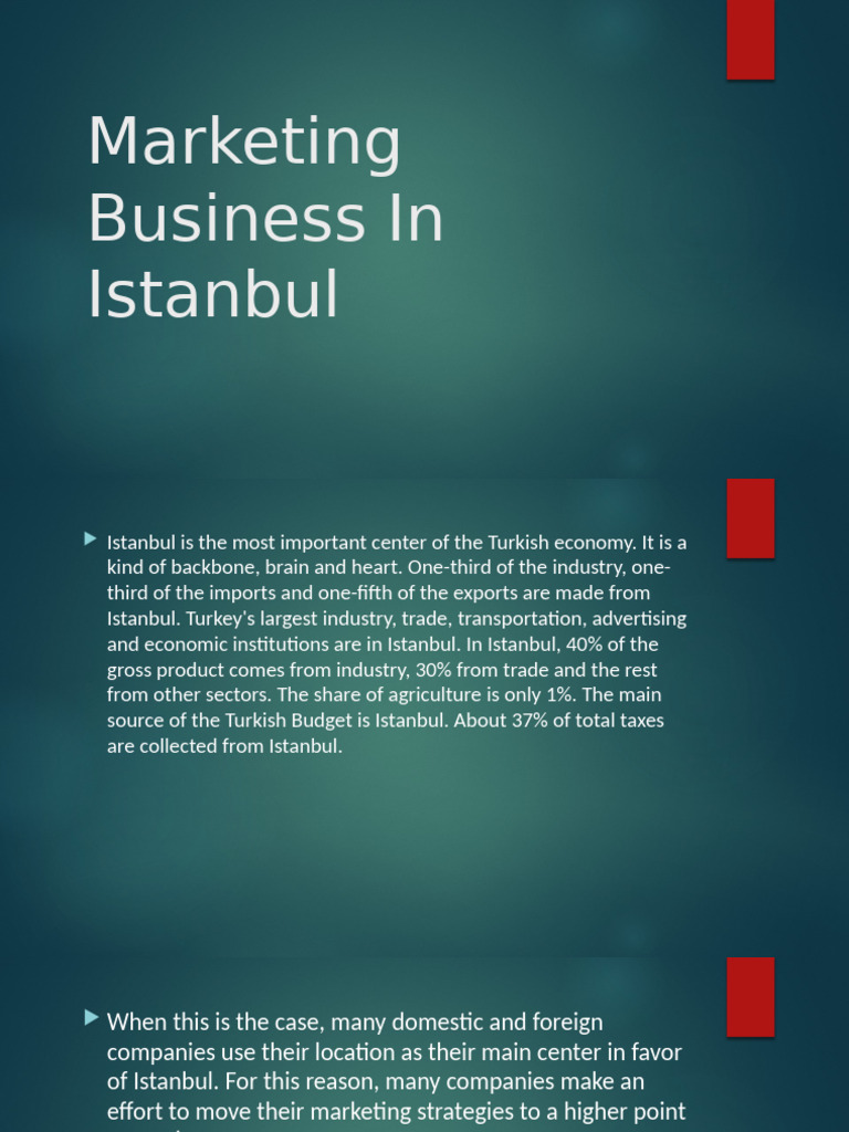 Marketing Business in Istanbul | PDF