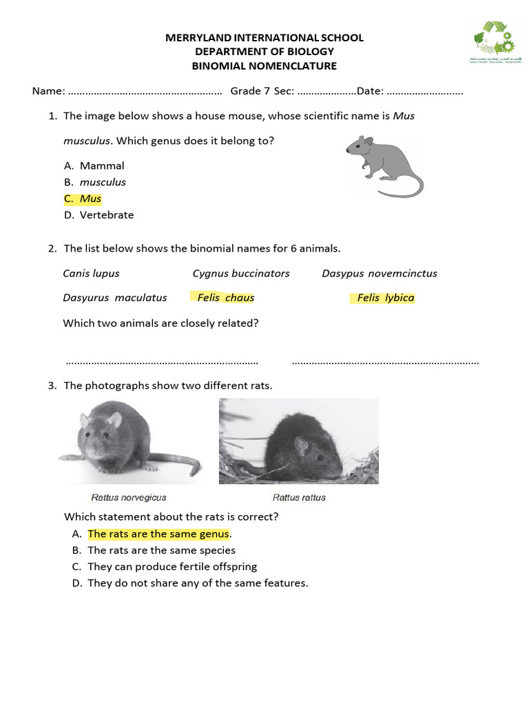 Binomial Nomenclature Worksheet | PDF | Genus | Biology