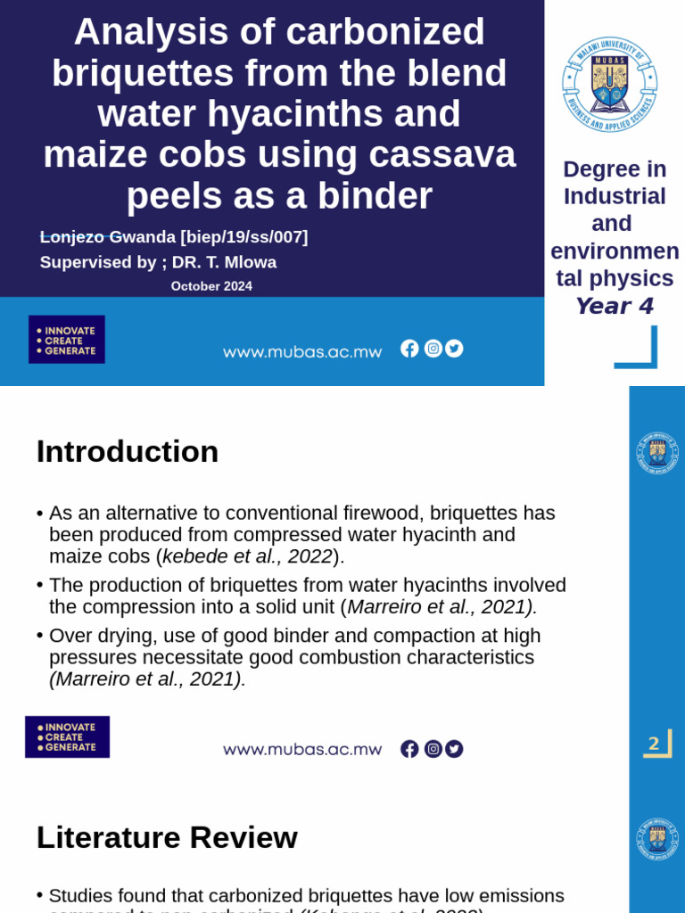 DILT Final Report Presentation Template 2022-2023 | PDF | Charcoal | Water