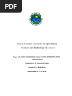 Understanding Tillage and Tilth Types | PDF | Technology & Engineering