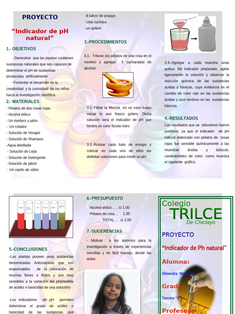 TRIPTICO-EXPERIMENTO | PDF | Ph | Color