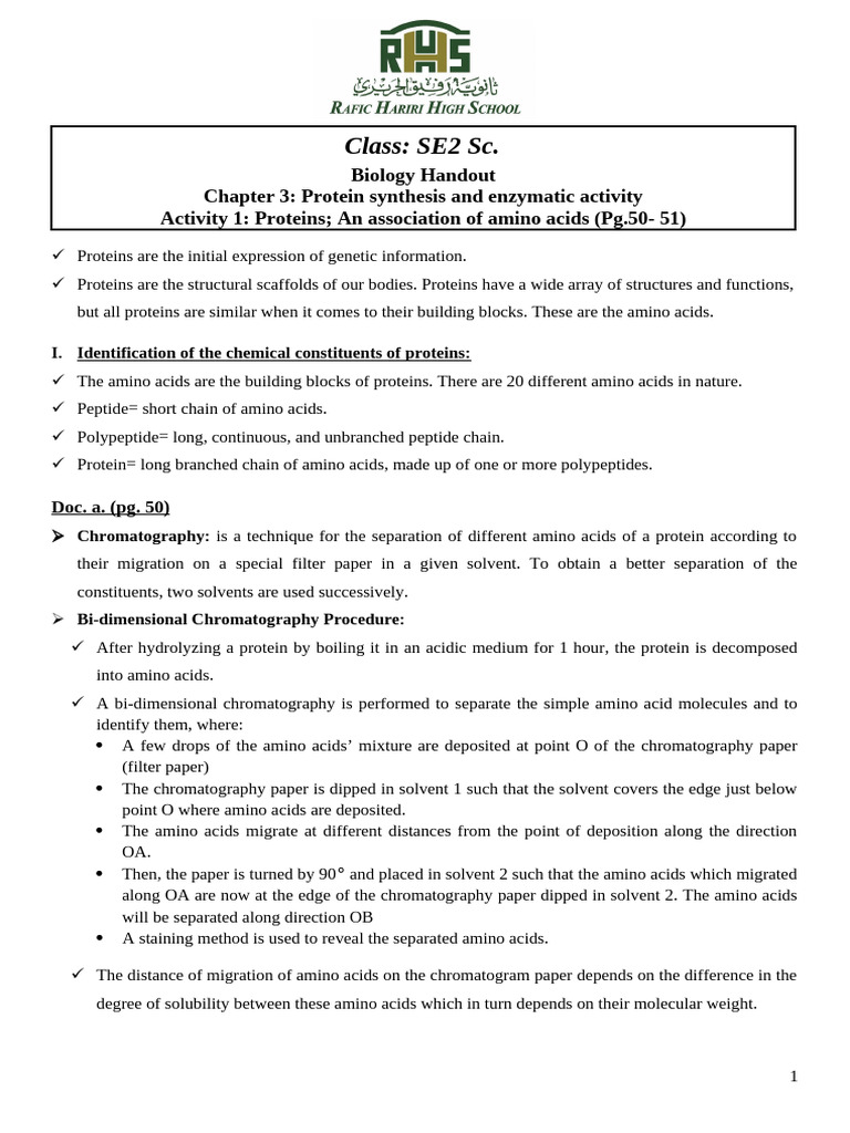 Grade 11 Biology Handout | PDF | Proteins | Amino Acid