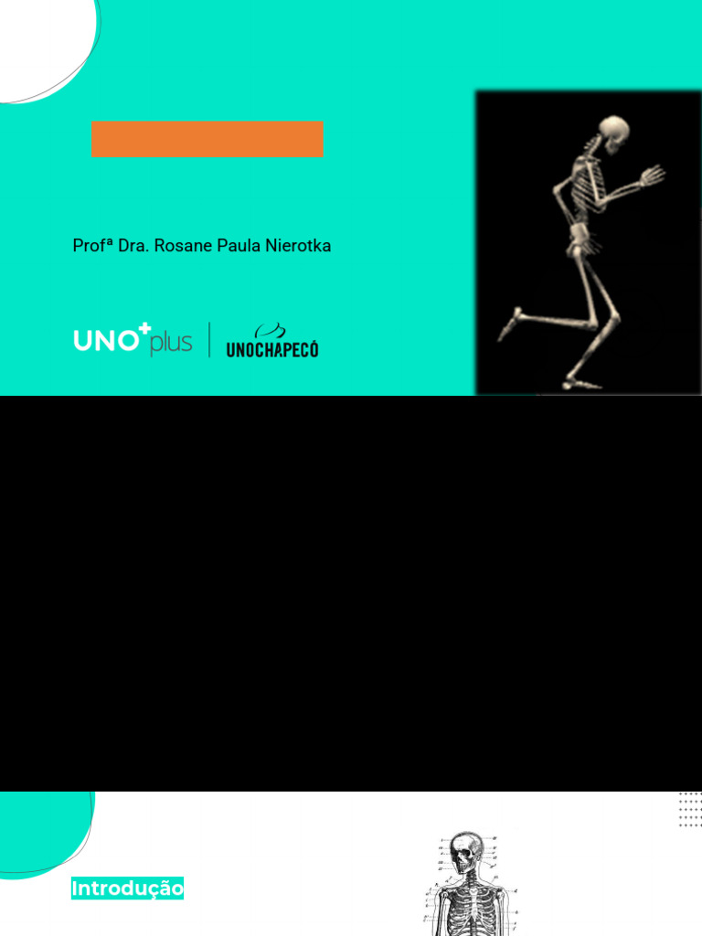 Aula Esqueletico | PDF | Coluna vertebral | Vértebra