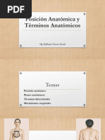 Términos de Lateralidad en Anatomía | PDF | Términos anatómicos de ...
