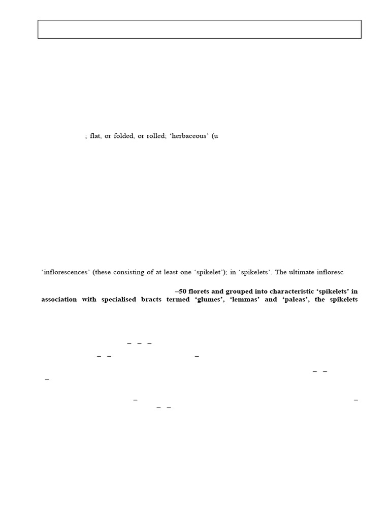 Characteristics of the Poaceae Family | PDF | Cereals | Wheat