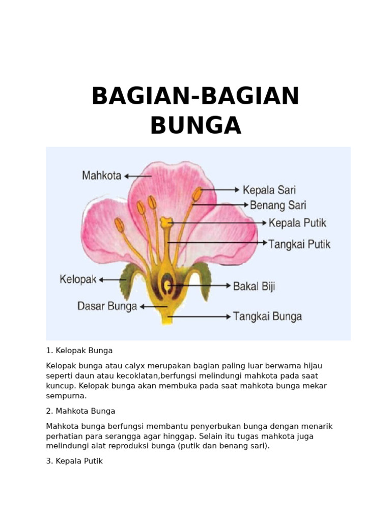 Bagian dan Fungsi Bunga Sempurna | PDF