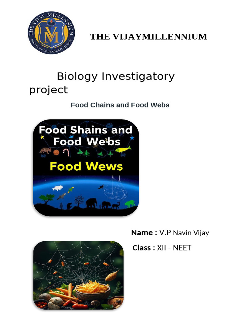 Food Chain and Web Investigatory Project | PDF | Food Web | Foods