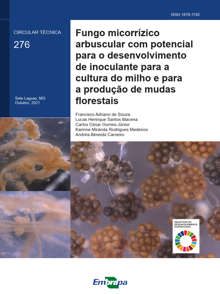 CircTec 276 Fungo Micorrizico Arbuscular Potencial Desenvolvimento Inoculante | PDF ...