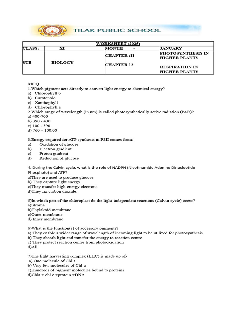 Photosynthesis and Respiration MCQs | PDF | Photosynthesis | Cellular ...