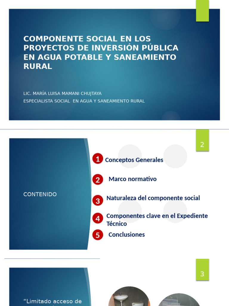 Componente Social en Los Proyectos de Inversión Pública | PDF ...