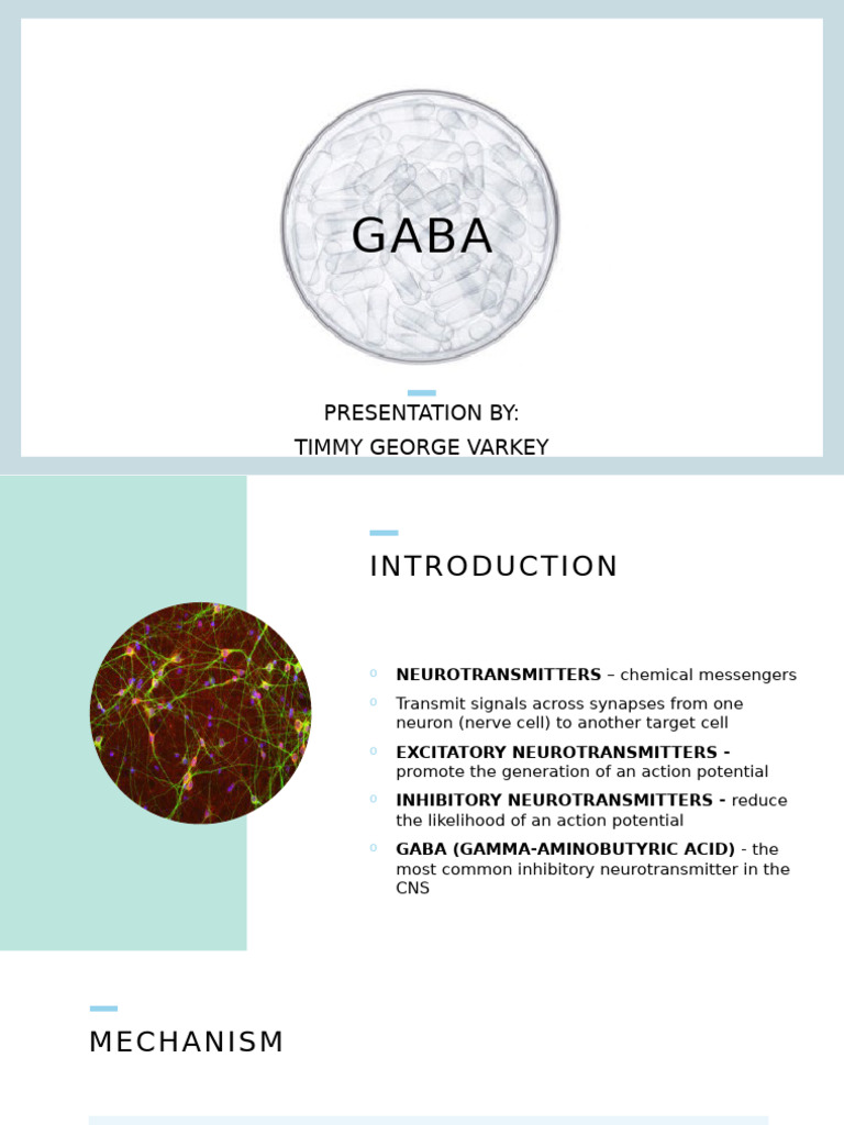 GABA - Presentation - Timmy | PDF | Chemical Synapse | Inhibitory Postsynaptic Potential