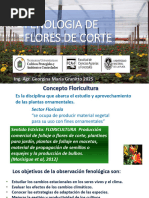 Morfología y partes de la rosa | PDF