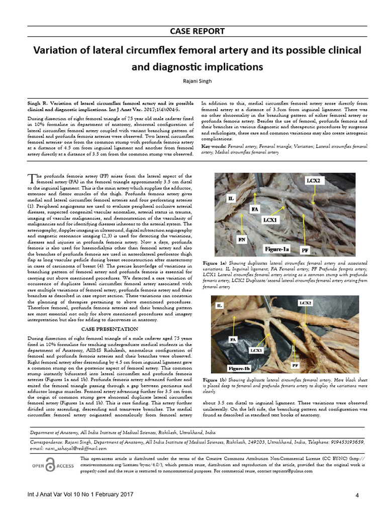 Variation of Lateral Circumflex Femoral Artery and Its Possible ...