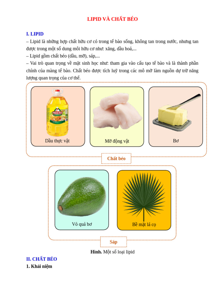 chất béo | PDF