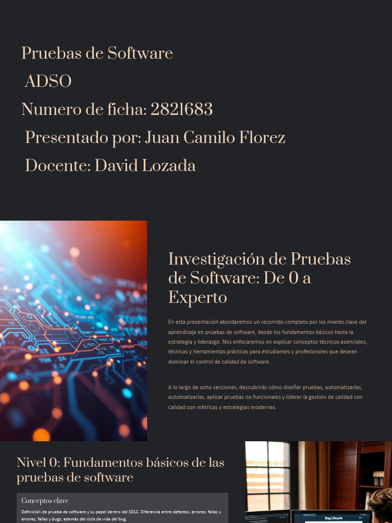 Pruebas de Software | PDF | Pruebas de software | Software