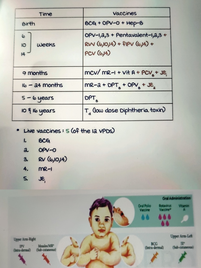 NATIONAL IMMUNIZATION SCHEDULE - Share | PDF