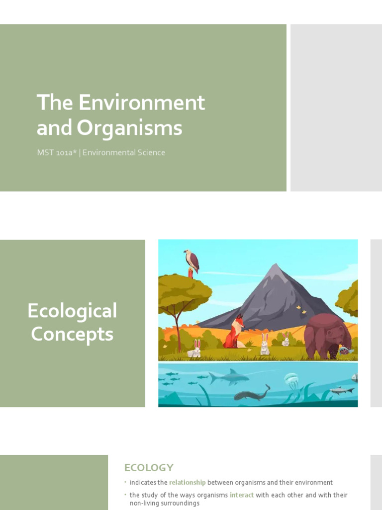 MST 101a_Environmental Science_The Environment and Organisms | PDF ...