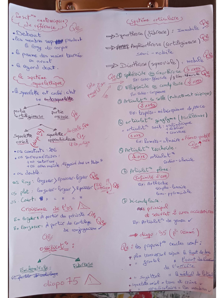 RSM de Qe Anat 1 | PDF