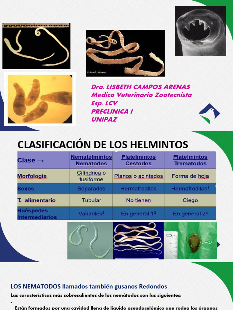 Nema Todos | PDF | Nematodo | Diarrea