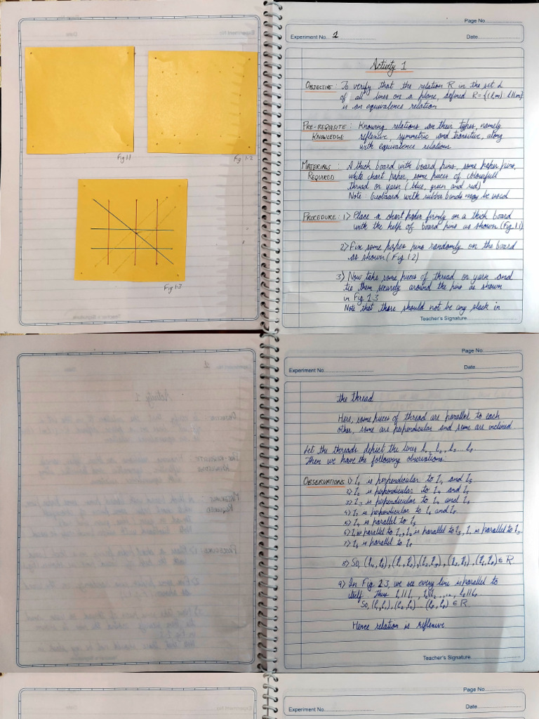 Lab Experiment Documentation Guide | PDF