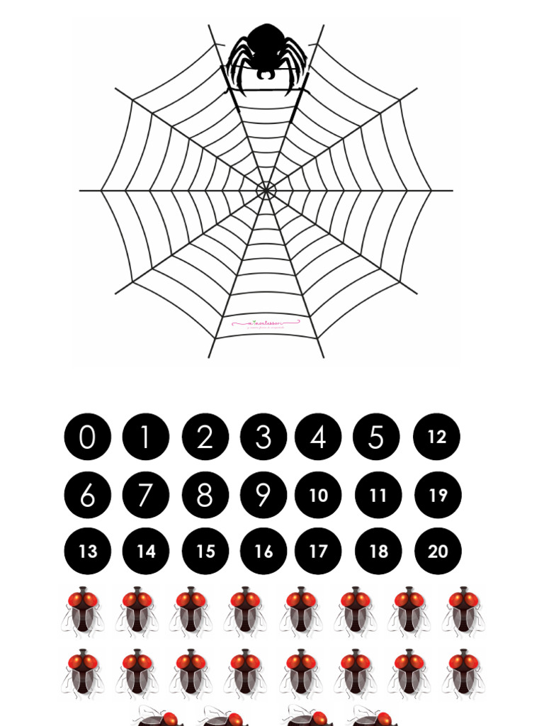 Conteo Arañas | PDF