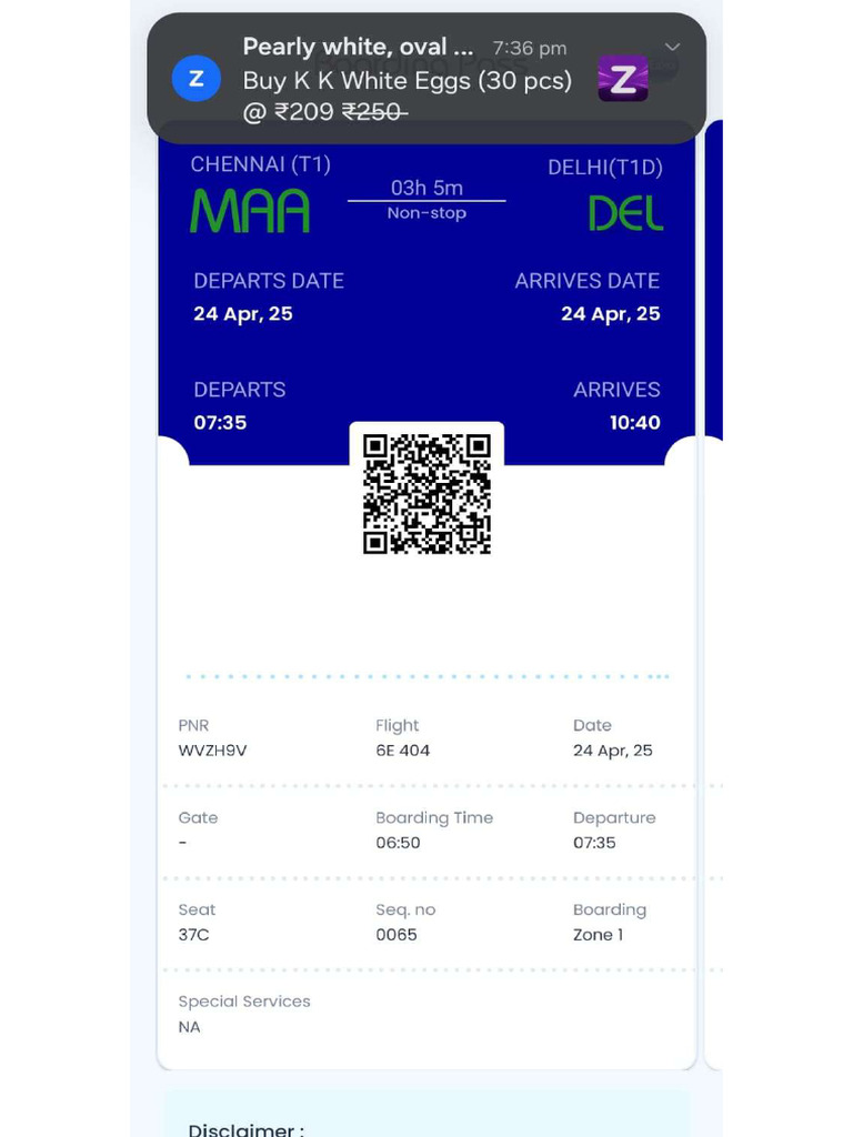 Flight Ticket 1 | PDF