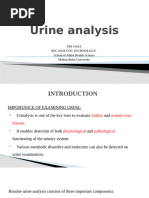 Normal Urine Routine Examination Report | PDF | Urine | Kidney