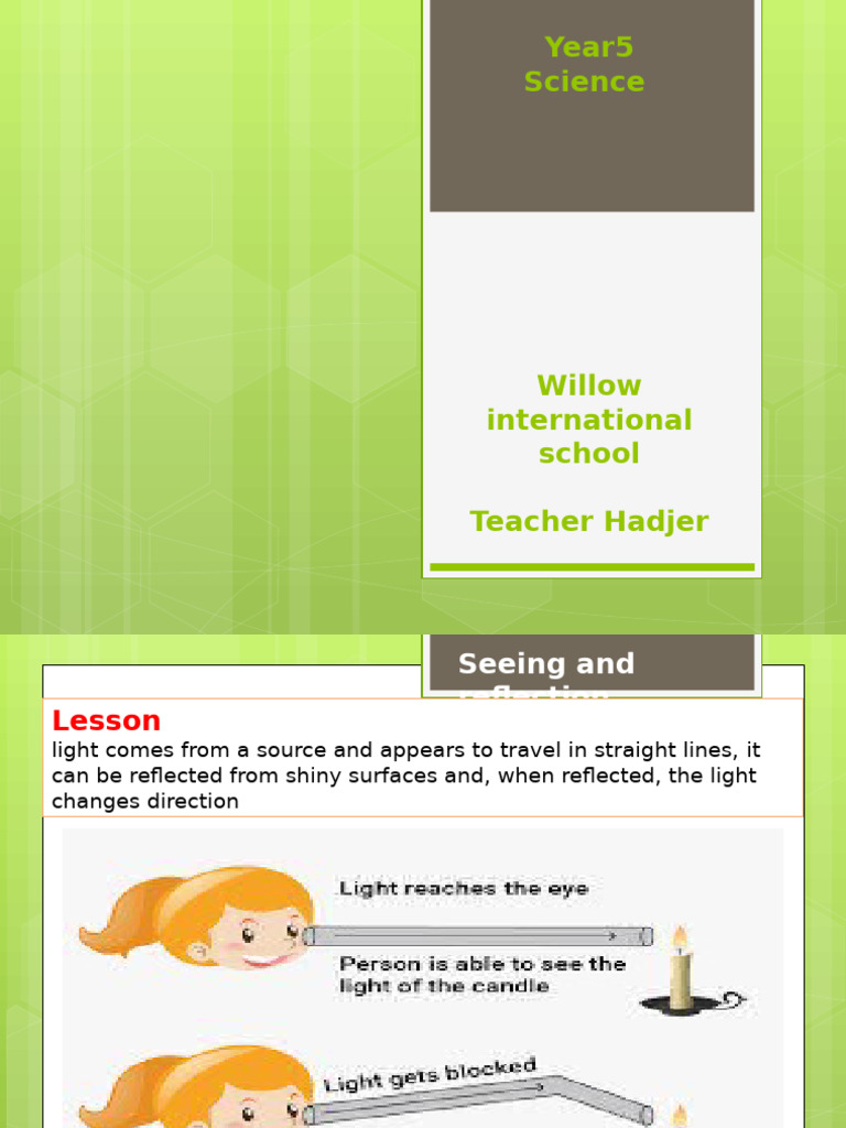 Year5 Unit1 Seeing and Reflecting | PDF