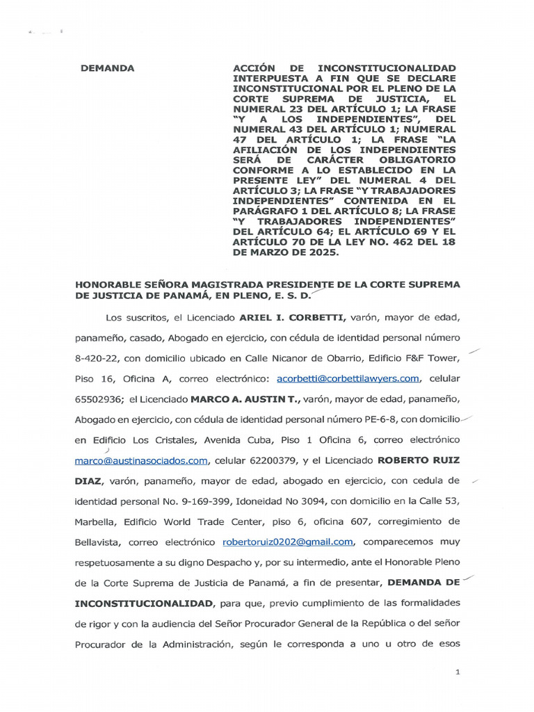 Scan Demanda de Inconstitucionalidad - Ley 462 - Corbetti Austin Ruiz | PDF