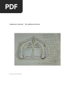 Maxillary Anatomical Landmarks | PDF | Dentures | Lip