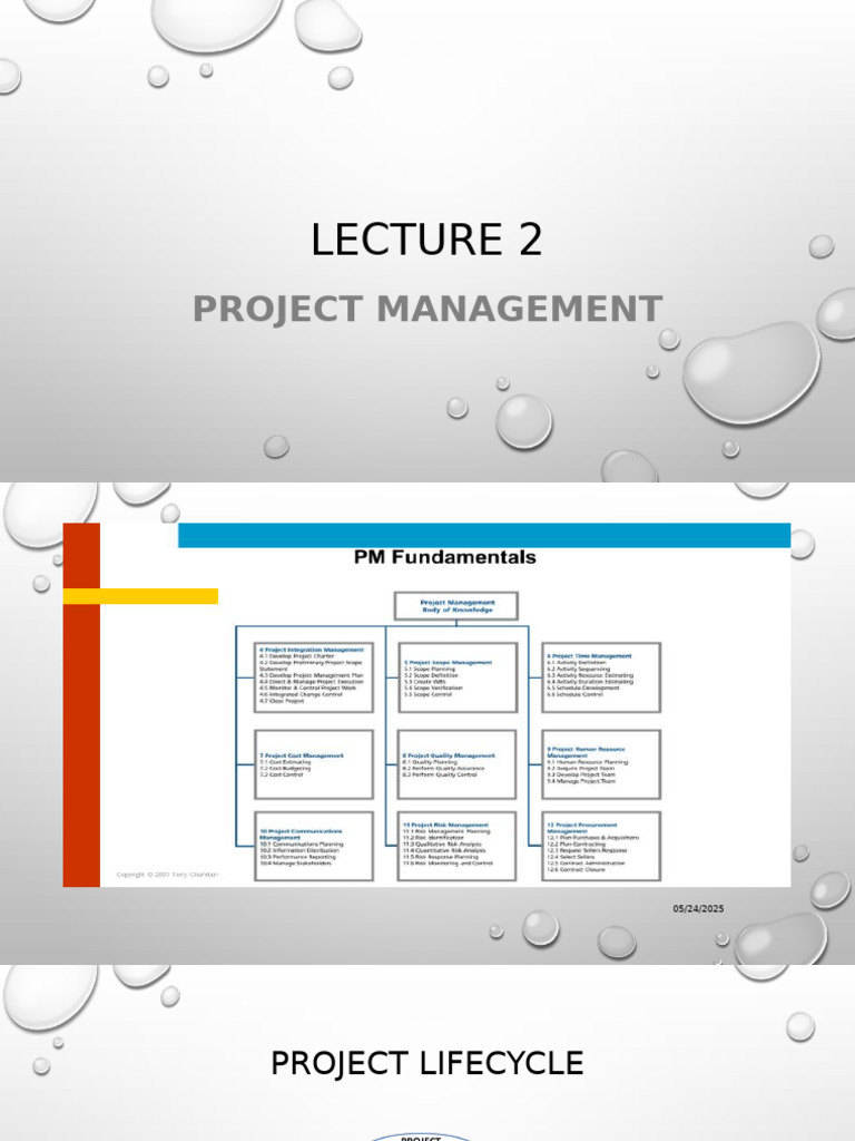 Lecture 2 Project Management | PDF | Project Management | Business