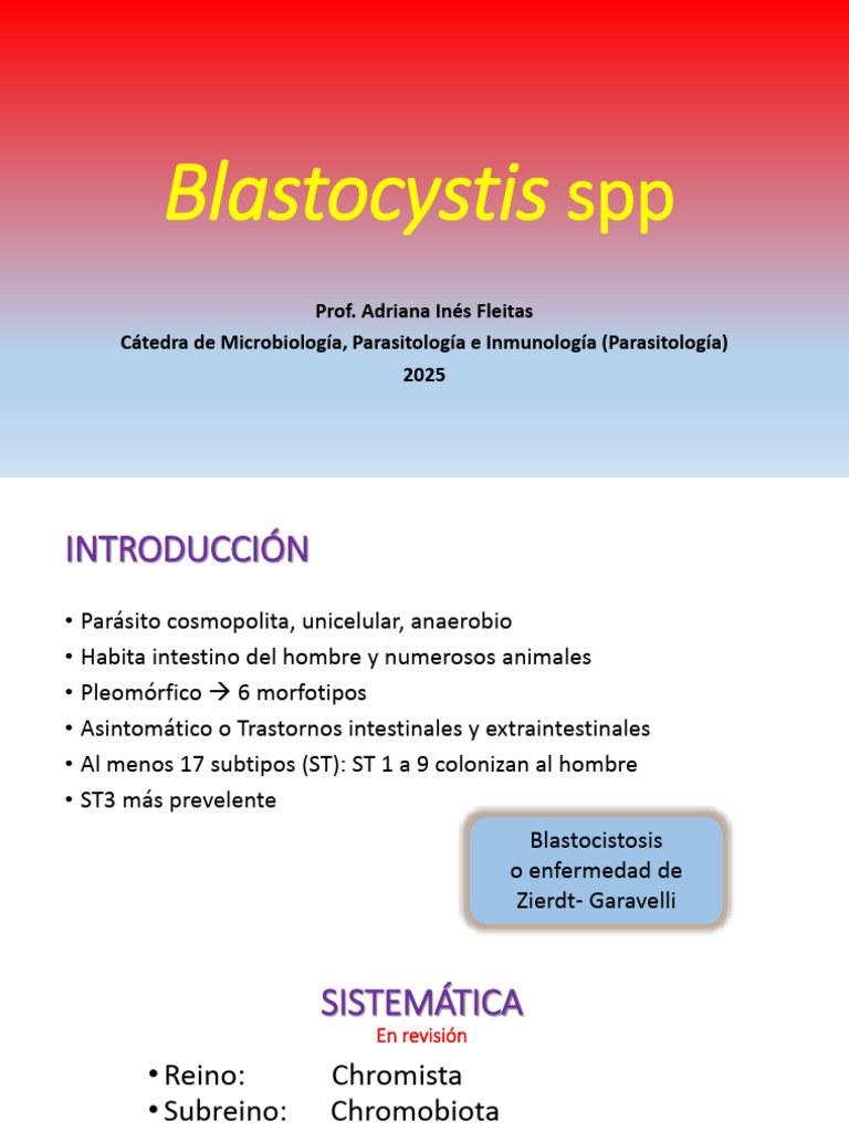 Blastocystis SPP y B Coli2025 | PDF | Especialidades Medicas