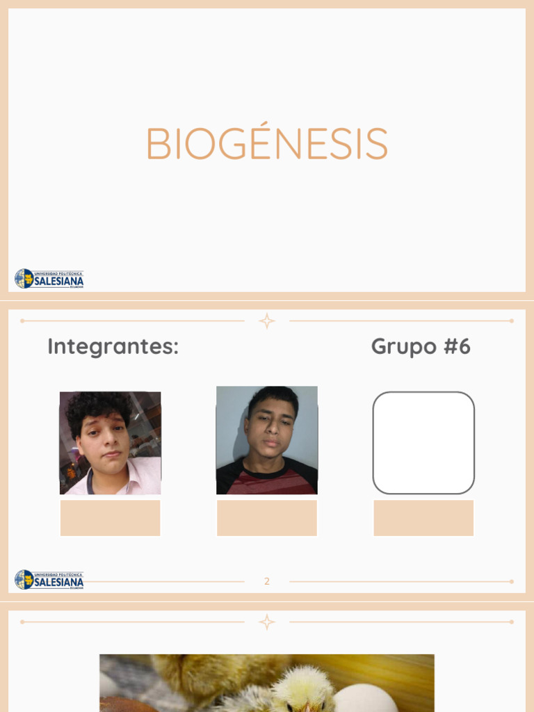 Biogénesis: Origen de la Vida en la Tierra | PDF