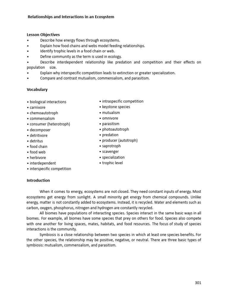 Trophic Relationships in Ecosystems | PDF | Food Web | Decomposition