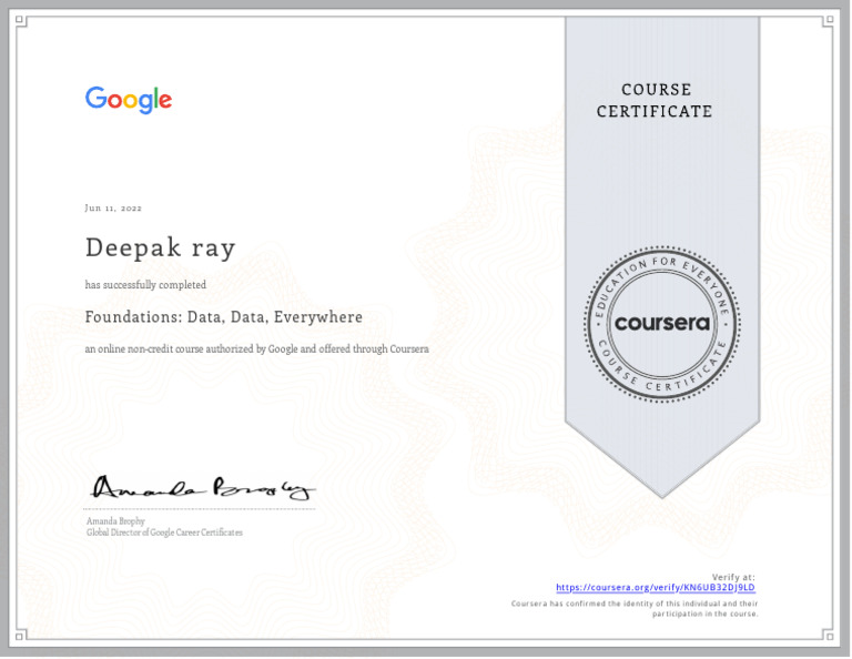 Data, Data, Everywhere | PDF