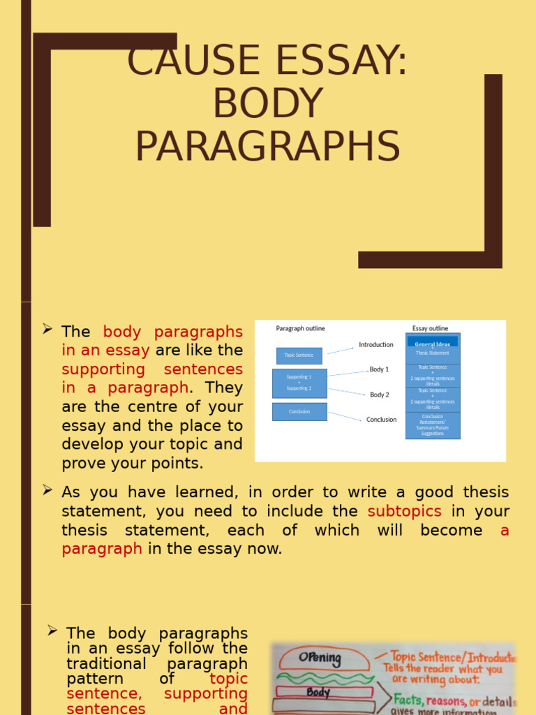 3-Cause Essay - Body Paragraphs | PDF | Essays