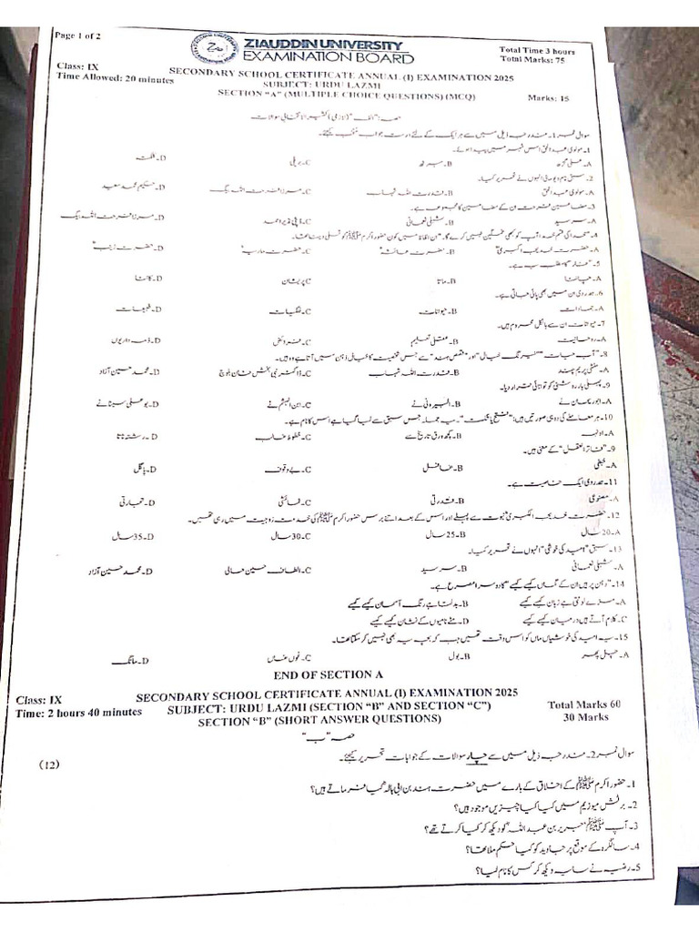 Zueb Ix Urdu Paoer 1 Solve - Billa FT Sanctum | PDF