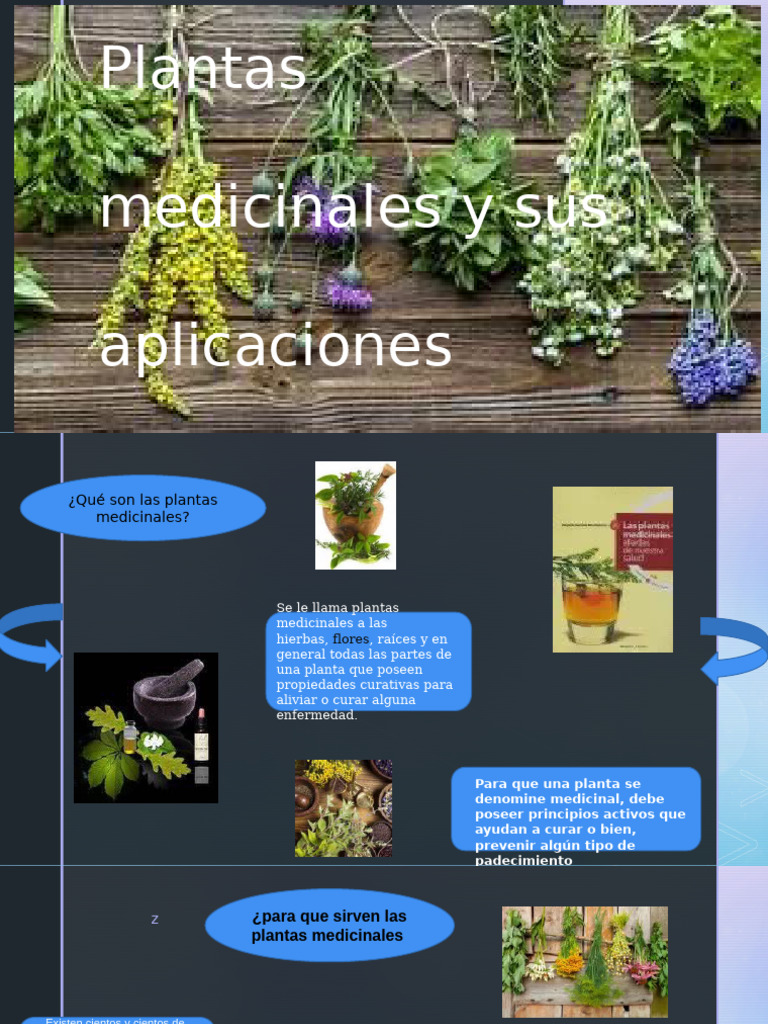 plantas medicinales aln | PDF | Plantas medicinales | Plantas