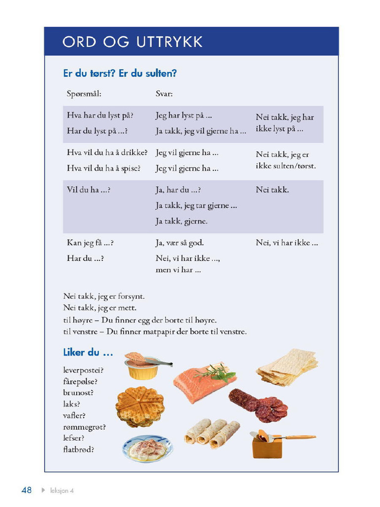 Ny I Norge PDF Free | PDF
