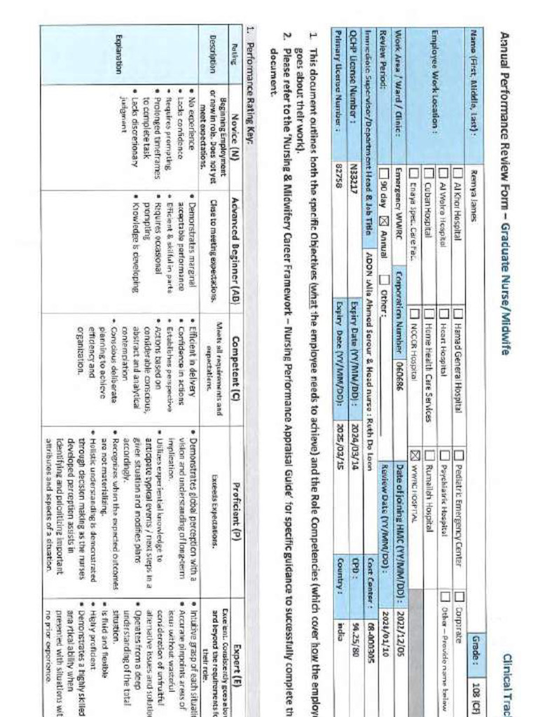 Annual Perfomance 2024 Original and Updated by RJ | PDF